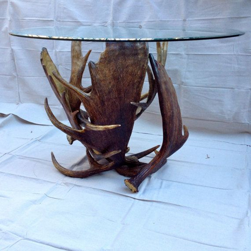 24+ Deer Antler Decor Ideas to Inspire in 2025 | Houszed