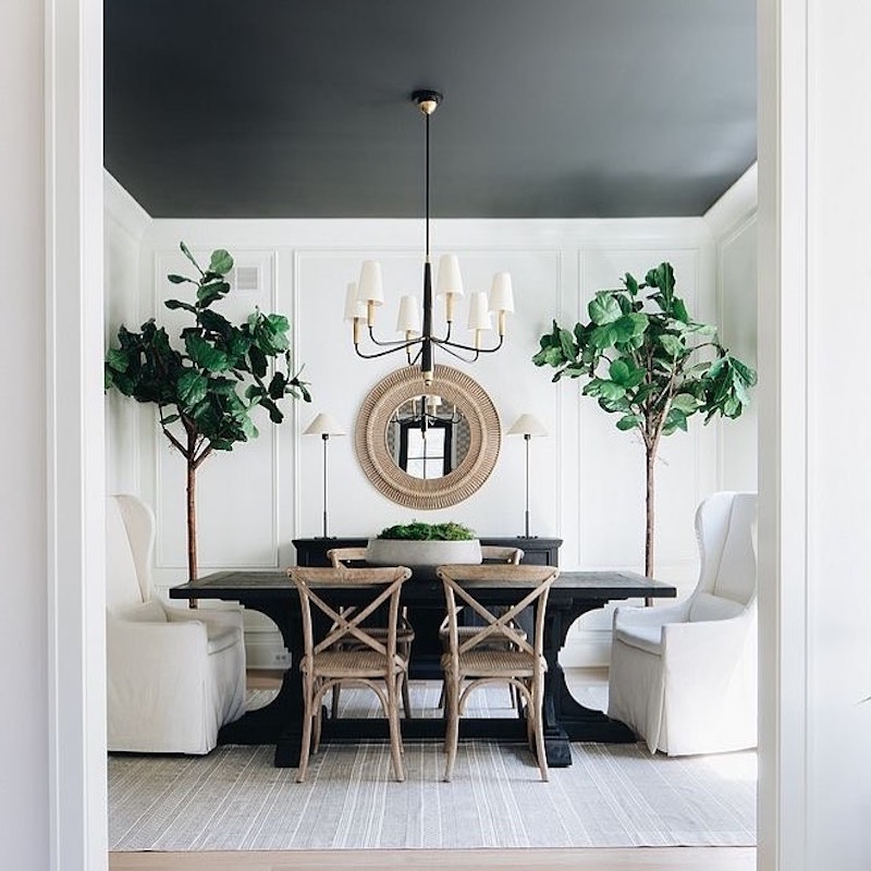 43+ Black Ceiling Ideas That Will Totally Surprise You in 2025 | Houszed