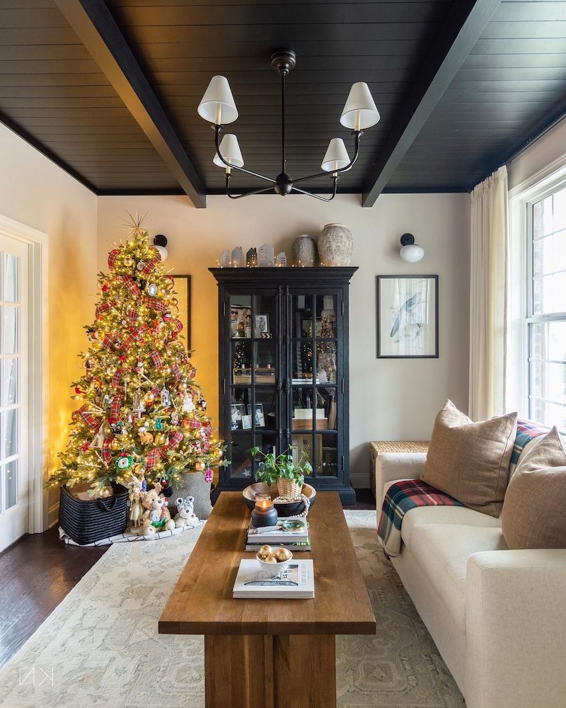 43+ Black Ceiling Ideas That Will Totally Surprise You in 2025 | Houszed