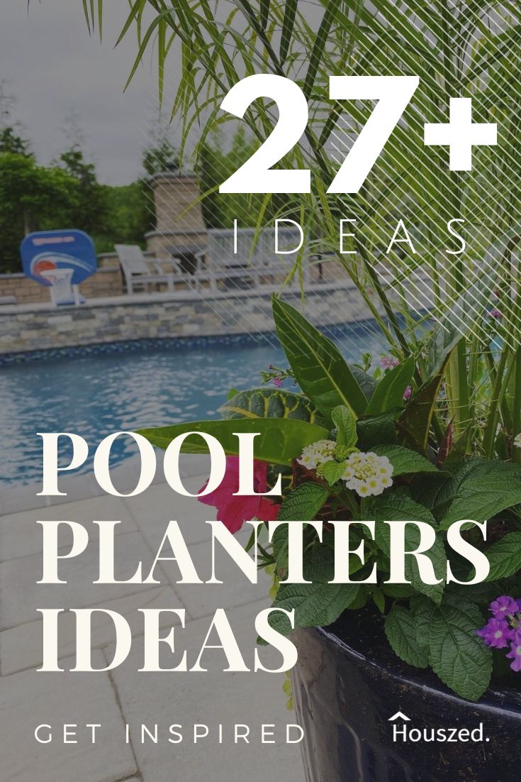 27+ Poolside Planter Ideas That Create Value in 2025 | Houszed