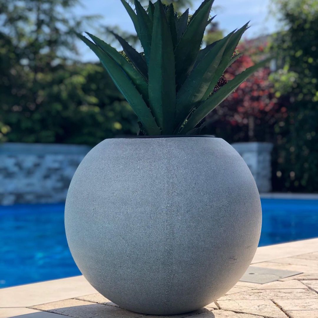27+ Poolside Planter Ideas That Create Value in 2025 | Houszed