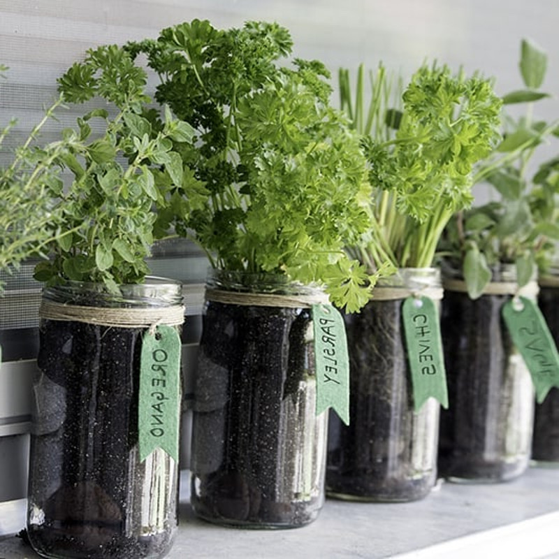 25+ Cool DIY Herb Garden Ideas in 2025 | Houszed
