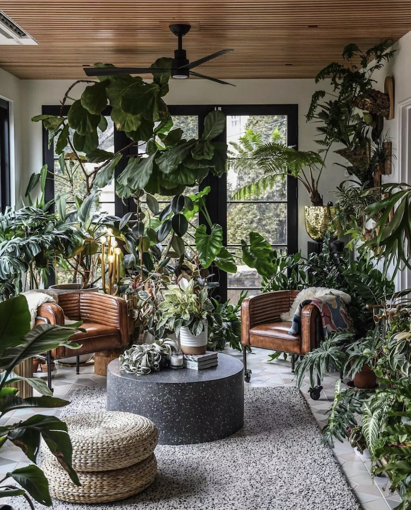 47+ Indoor Plant Displays That Bring the Outdoors inside in 2025