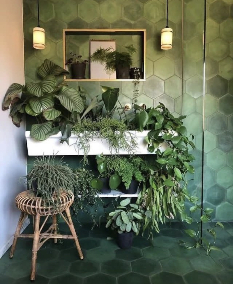 47+ Indoor Plant Displays That Bring the Outdoors inside in 2025
