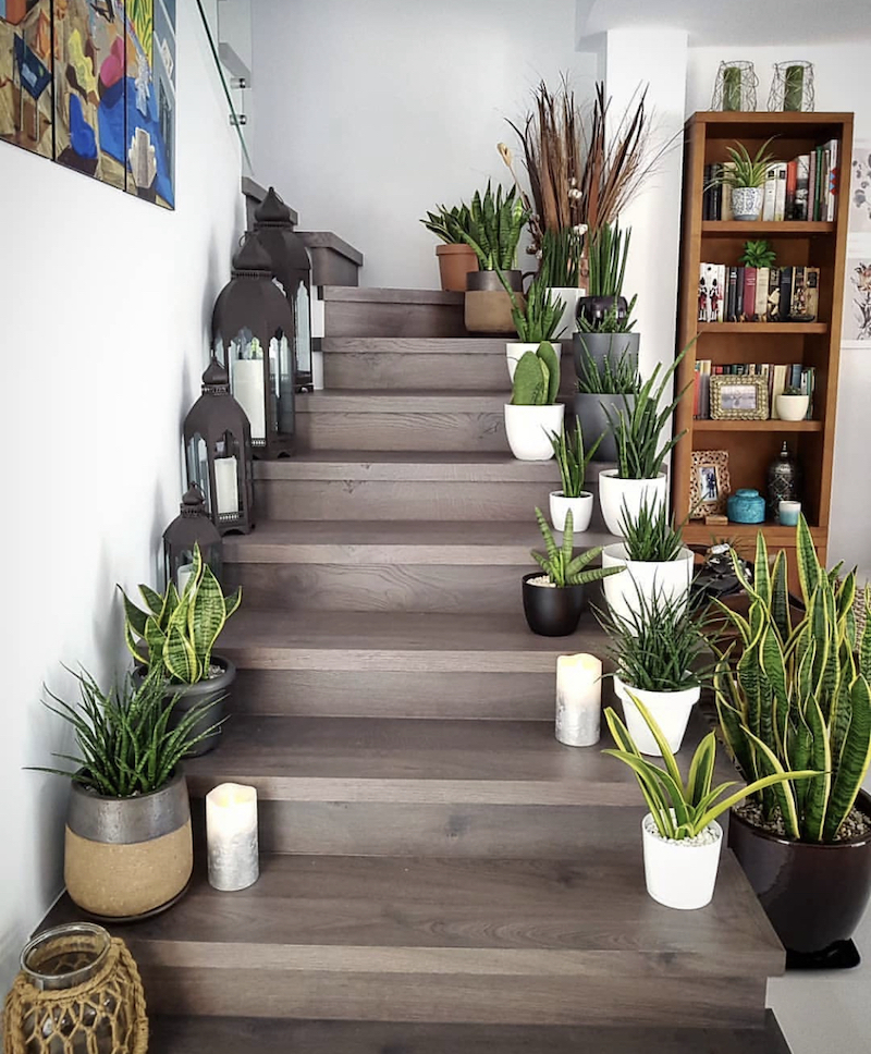 47+ Indoor Plant Displays That Bring the Outdoors inside in 2025