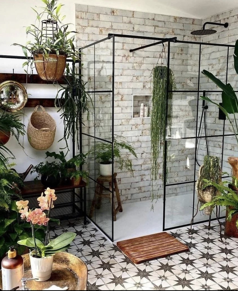 47+ Indoor Plant Displays That Bring the Outdoors inside in 2025