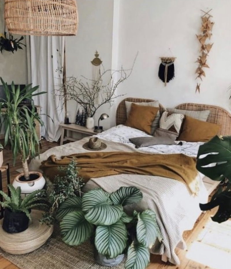 47+ Indoor Plant Displays That Bring the Outdoors inside in 2025