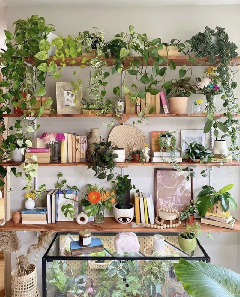 47+ Indoor Plant Displays That Bring the Outdoors inside in 2025