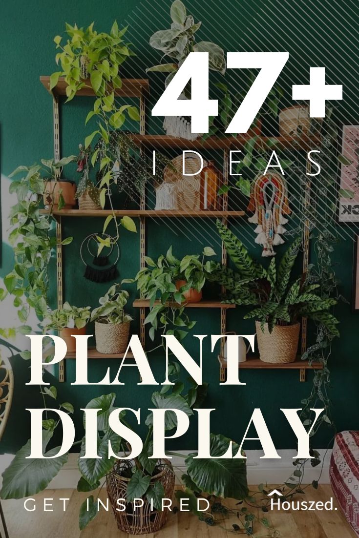 47+ Indoor Plant Displays That Bring the Outdoors inside in 2025