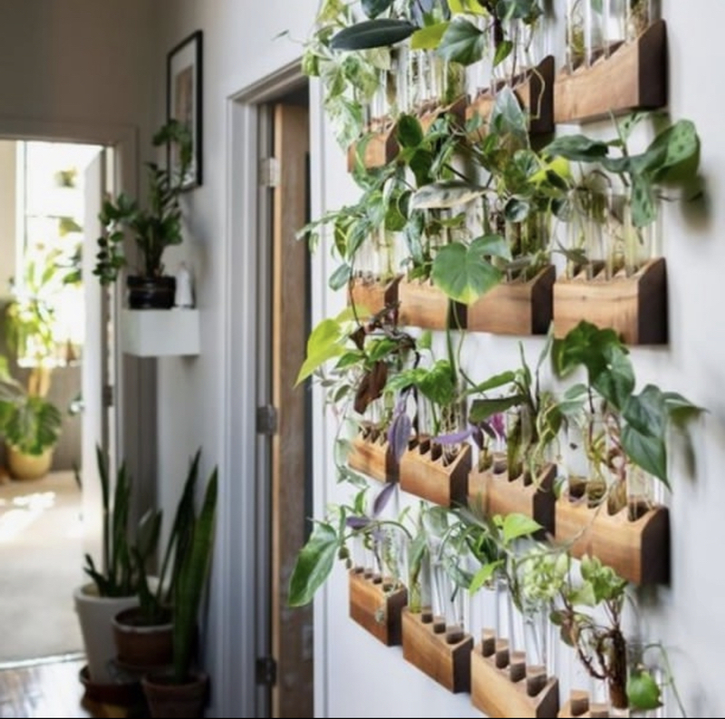 47+ Indoor Plant Displays That Bring the Outdoors inside in 2025