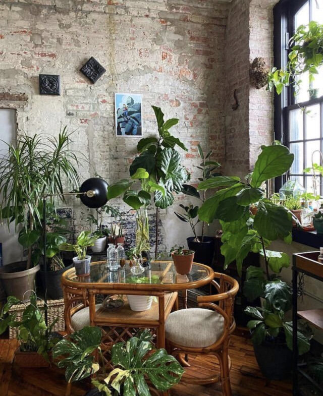 47+ Indoor Plant Displays That Bring the Outdoors inside in 2025