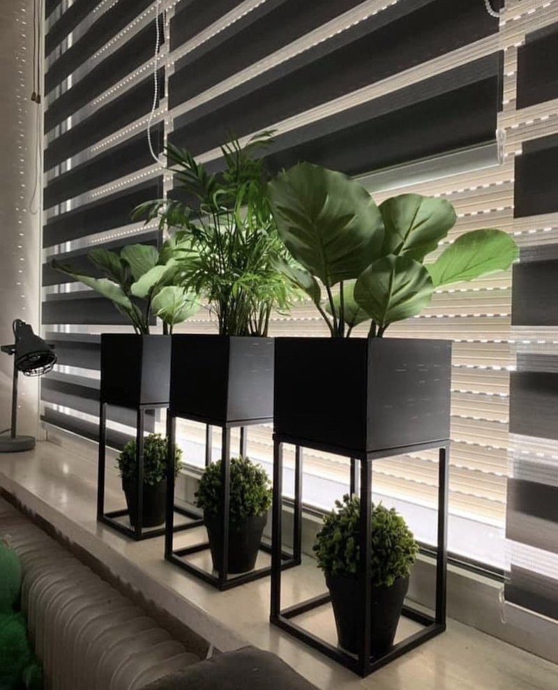 47+ Indoor Plant Displays That Bring the Outdoors inside in 2025