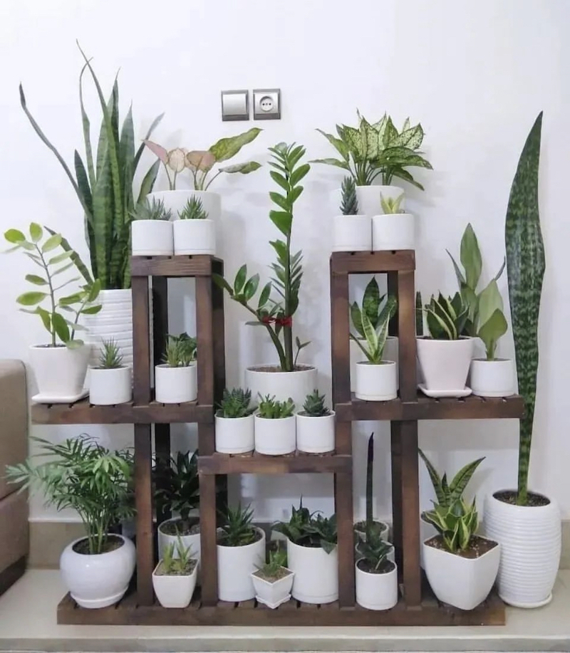 47+ Indoor Plant Displays That Bring the Outdoors inside in 2025