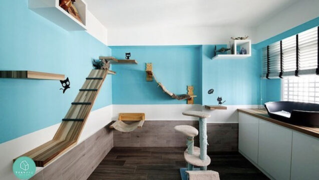 21+ Cat Room Ideas That Will Have You Purring in 2026 | Houszed