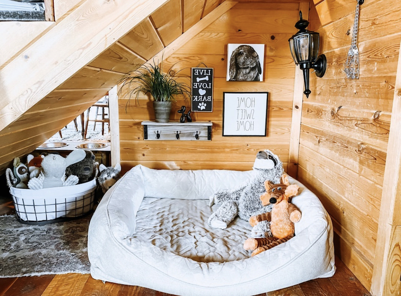 17+ Dog Room Ideas That Won't Have You Barking Up a Tree in 2025