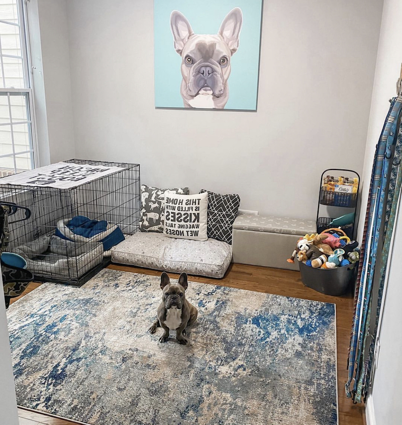 17+ Dog Room Ideas That Won't Have You Barking Up a Tree in 2025