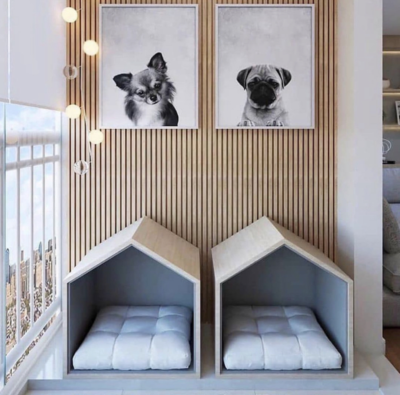 17+ Dog Room Ideas That Won't Have You Barking Up a Tree in 2025