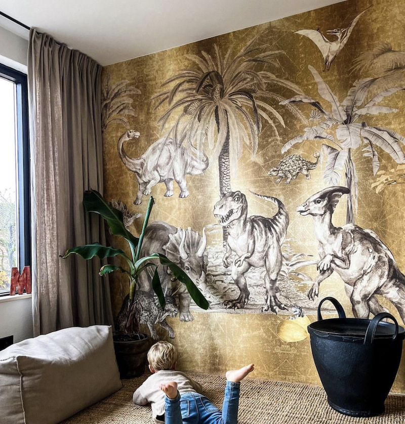 43+ Dinosaur Room Ideas That Totally Roar! in 2025 | Houszed