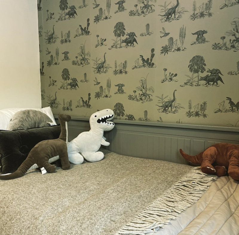 43+ Dinosaur Room Ideas That Totally Roar! in 2025 | Houszed